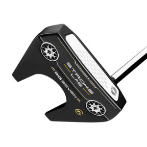 Best Arm Lock Putters - Buyer's Guide - 2022 Edition