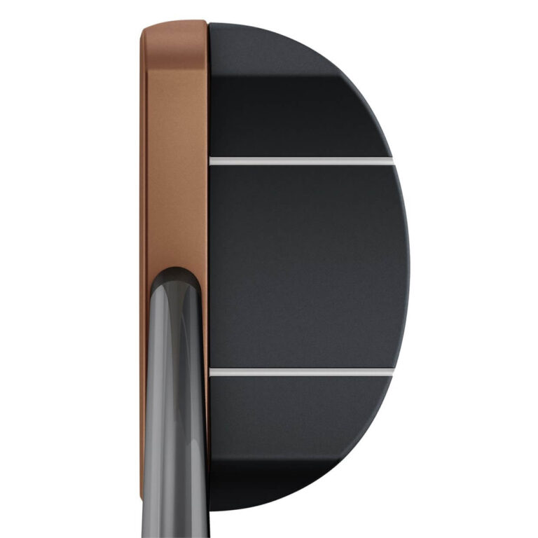 Best Center Shafted Putters - 2021 Buyer's Guide